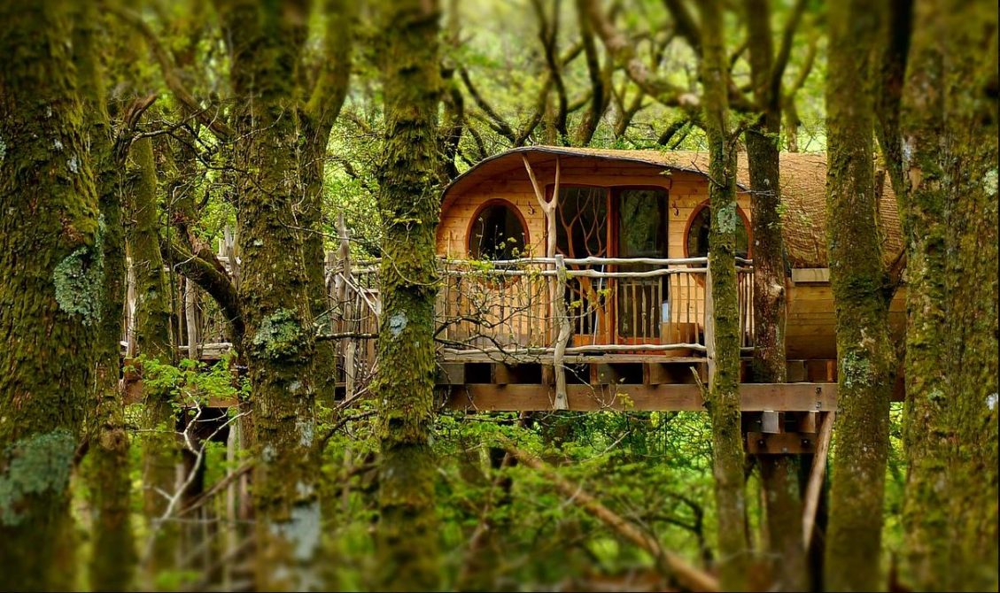 What We Thought Of Living-Room Treehouses - Unique Sleeps